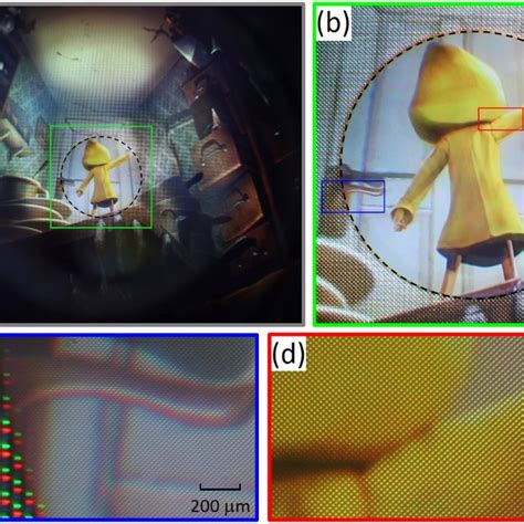 Schematic Diagram Of The Proposed Multi Resolution Foveated Display For