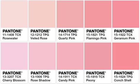Pinks Pantone Color Chart Pink Color Chart Pantone Colour Palettes
