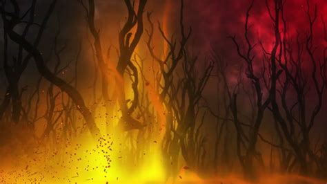 Fire From Three Passions For Our Tortured Planet Brian Field