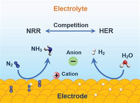 A Schematic Of Electrocatalytic Ammonia Production Adapted With