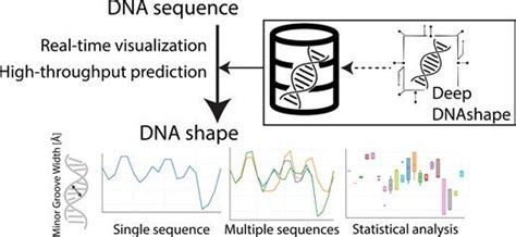 Bacha Zada On Linkedin Deeplearning Bioinformatics Genomics Dna Machinelearning