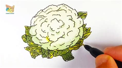 Comment Dessiner Un Chou Fleur YouTube