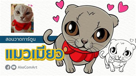 วาดการ์ตูนแมว ง่ายง่าย น่ารักน่ารัก How To Draw Cat Akecomart สอน
