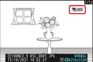 Playback Display Options