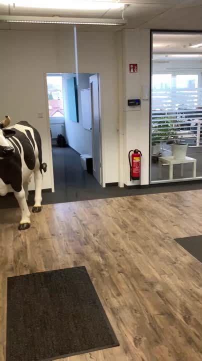 Reporting Tool List And Label On Linkedin Listlabel Developers Softwaredevelopment