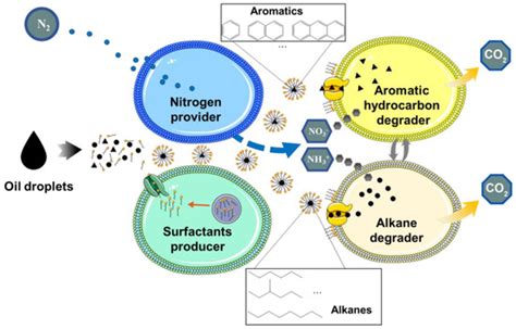 Bioengineering Special Issue Microbial Electrochemistry Technology