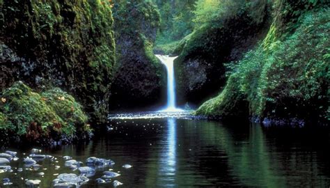 Rainforest Weather And Climate Sciencing