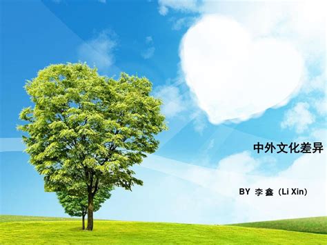 中外文化差异 Ppt课件word文档在线阅读与下载免费文档