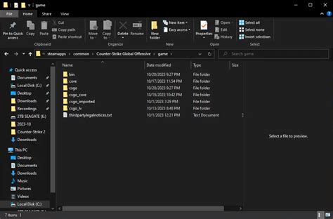 Counter Strike 2 How To Remove Build And Debug Details