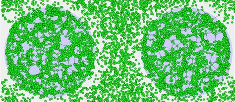Memetics And Neural Models Of Conspiracy Theories Rscience