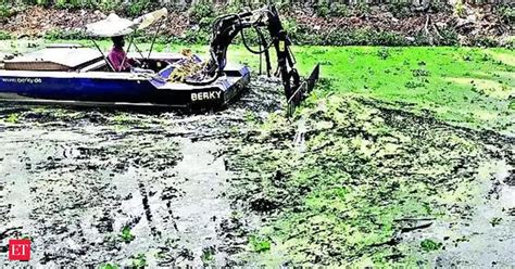 Barsu Maharashtra Govt To Exclude Petroglyphs Area From Barsu Refinery
