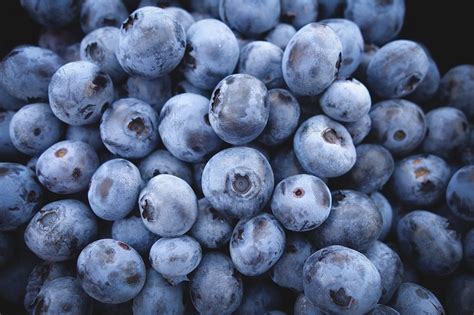 Blueberry Health Benefits 7 Reasons To Eat Blueberries Every Day