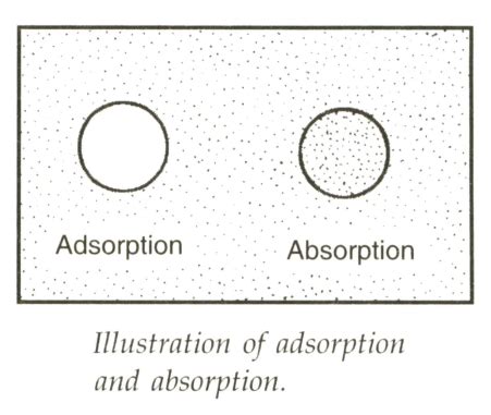 Distinguish Between Adsorption And Absorption Give One Example Of Each