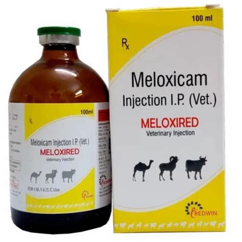 Meloxicam Injection Ip 100 Ml At Rs 32bottle In Nagpur Id