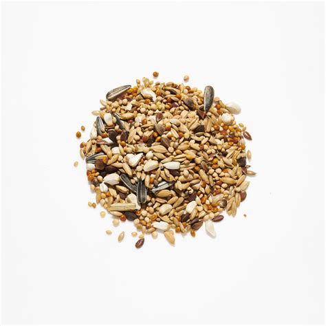 Countrywide Grass Parakeet And Lovebird Seed Mix Parakeet Feed