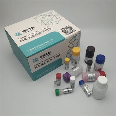 大鼠c Jun氨基末端激酶（jnkelisa试剂盒免费代测