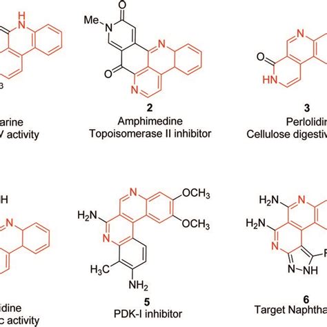 Naturally Occurring Naphthyridine Scaffolds And The Target Molecule Download Scientific Diagram