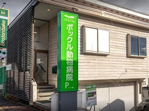 ミーアキャットを診察可能な病院 Meerkatlife