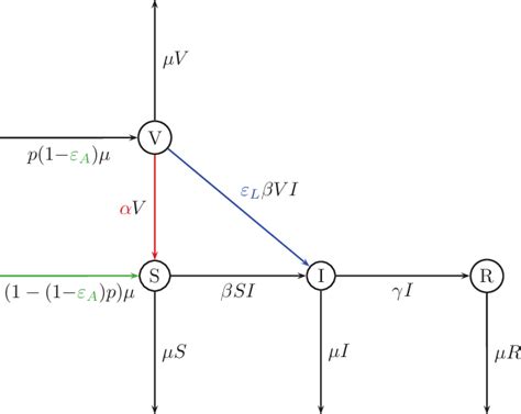 A Model Of Imperfect Vaccine Immunity Incorporating Three Possible Download Scientific Diagram
