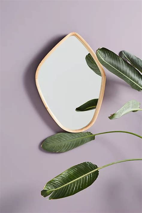 Bentwood Mirror Anthroliving