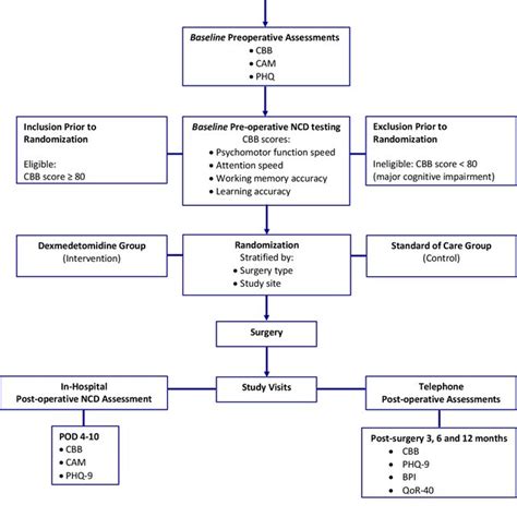 Codex Trial Workflow Schedule Of Enrolment Interventions And Download Scientific Diagram