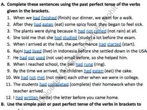 Tenses Exercises For CBSE Class