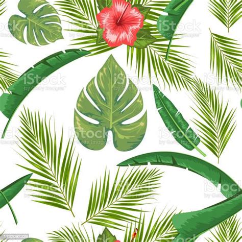 이국적인 추상적인 벡터 정글 또는 열 대 잎과 꽃 완벽 한 패턴입니다 벡터 일러스트입니다 녹색 잎과 흰색 배경입니다 고체에 대한 스톡 벡터 아트 및 기타 이미지 Istock