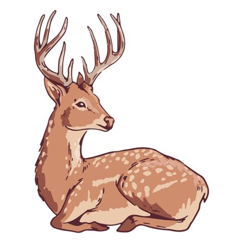 Sat Animal Deer Illustration Png Design Deer Illustration Deer