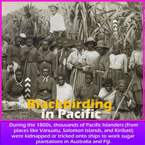 Dose In The 1800s Thousands Of Pacific Islanders From Vanuatu