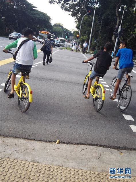 新加坡如何治理共享單車亂停放？ 每日頭條