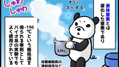 危険な「液体窒素」。冷たいだけでないその危険性とは？｜研究所で働く漫画家兼テクニシャンが送る4コマ『ラボりだな日々』第3話 Lab