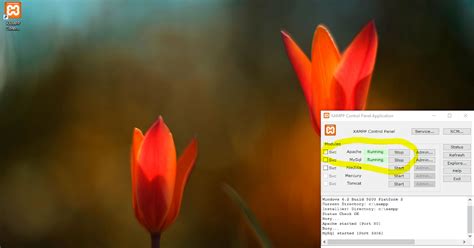 Tutorial Membuat Database Dengan Cmdcommand Promt Asep Zaenuri