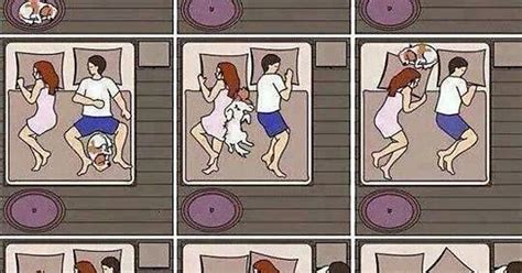 The Joys Of Sleeping With Dogs How Real This Is Imgur