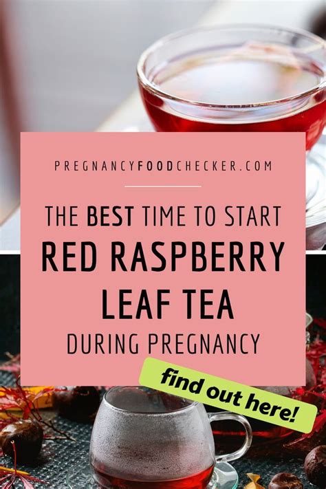 Red Raspberry Leaf Tea Benefits For Pregnancy