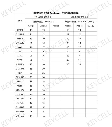 人肺腺癌细胞 Nci H292（str鉴定正确）细胞系细胞库旗赛生物科技（武汉）有限公司