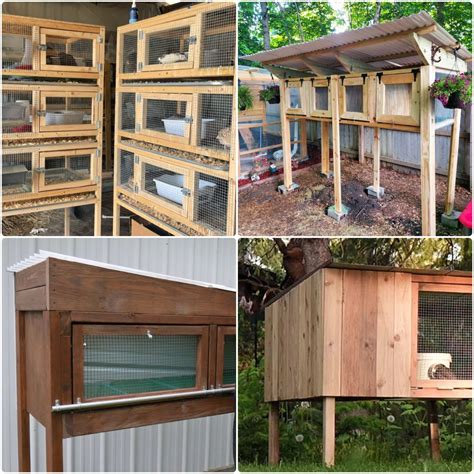 Homemade Quail Cage Plans Pdf At Jason Cox Blog