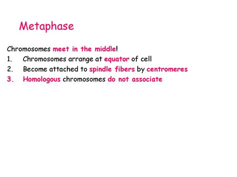 Discovering Dna Ppt Download