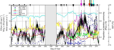 Time Series Of Wind Speed Black Line Nitrate Concentrations Blue Download Scientific
