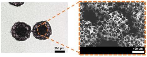 Micromotor Manipulation Using Ultrasonic Active Traveling Waves Pmc