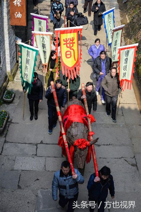 江西婺源篁嶺古村鞭牛迎春 每日頭條