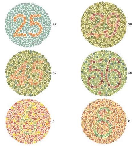Blind Spot Test Results At Kathleen Jackson Blog