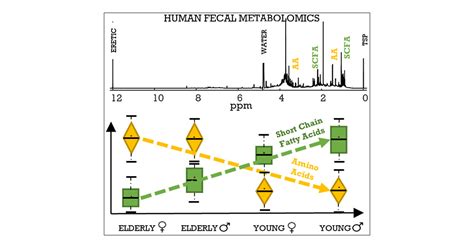 Influence Of Age Sex And Diet On The Human Fecal Metabolome