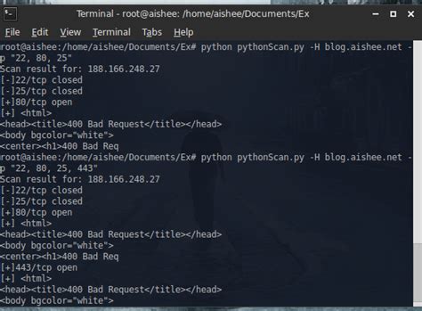 Github Aisheeportscan Simple Script Port Scan With Python