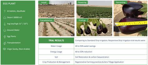 Responsive Irrigation Success Stories