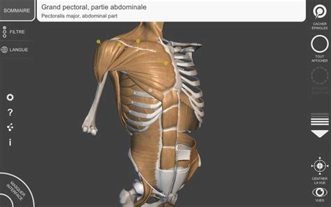 Anatomie D pour l Artiste v pour PC et Mac Télécharger gratuit PcMac Store