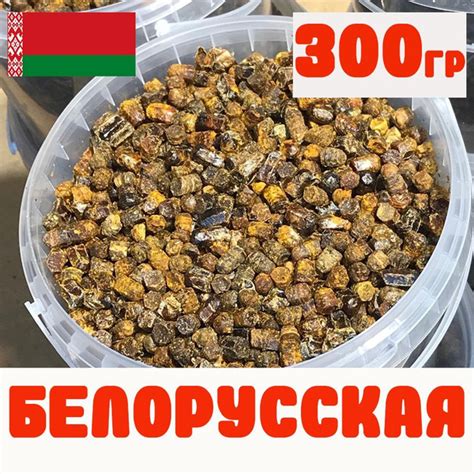 Перга пчелиная 300 гр белорусская купить на OZON по низкой цене ...