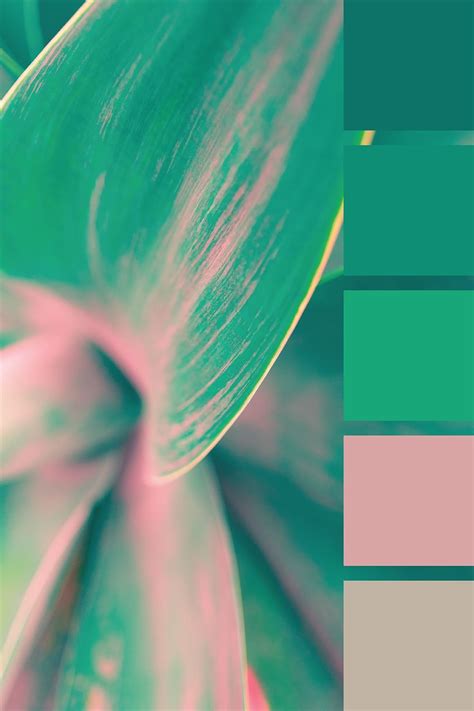 Green And Pink Color Palette Purple Color Palettes Color Palette From