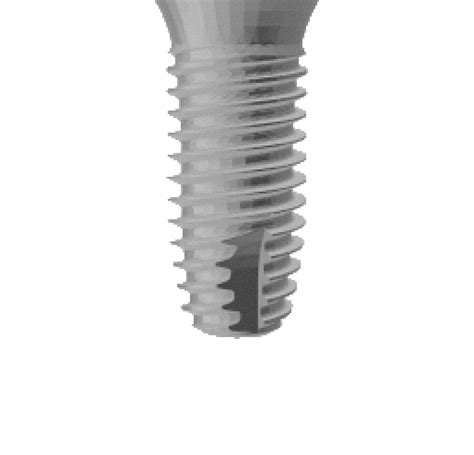 Dentium Simple Line II Dental Implant | SpotImplant