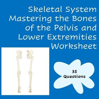 Skeletal System Mastering Bones Of Pelvis And The Lower Extremities