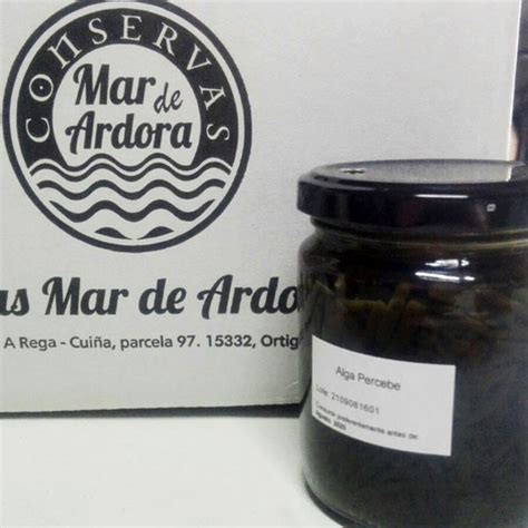 Compra Online Alga Codium Al Natural